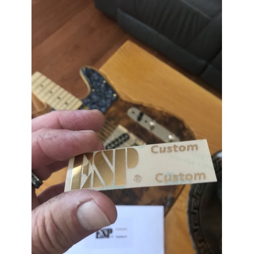 Guitar Decals Restoration Logos - ESP Guitar Decal m86b