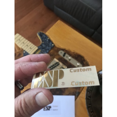 Guitar Decals Restoration Logos - ESP Guitar Decal m86b